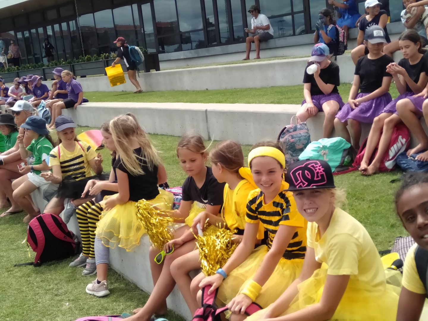 Heron Herald Term 1, Week 7, 2020 - Matua School