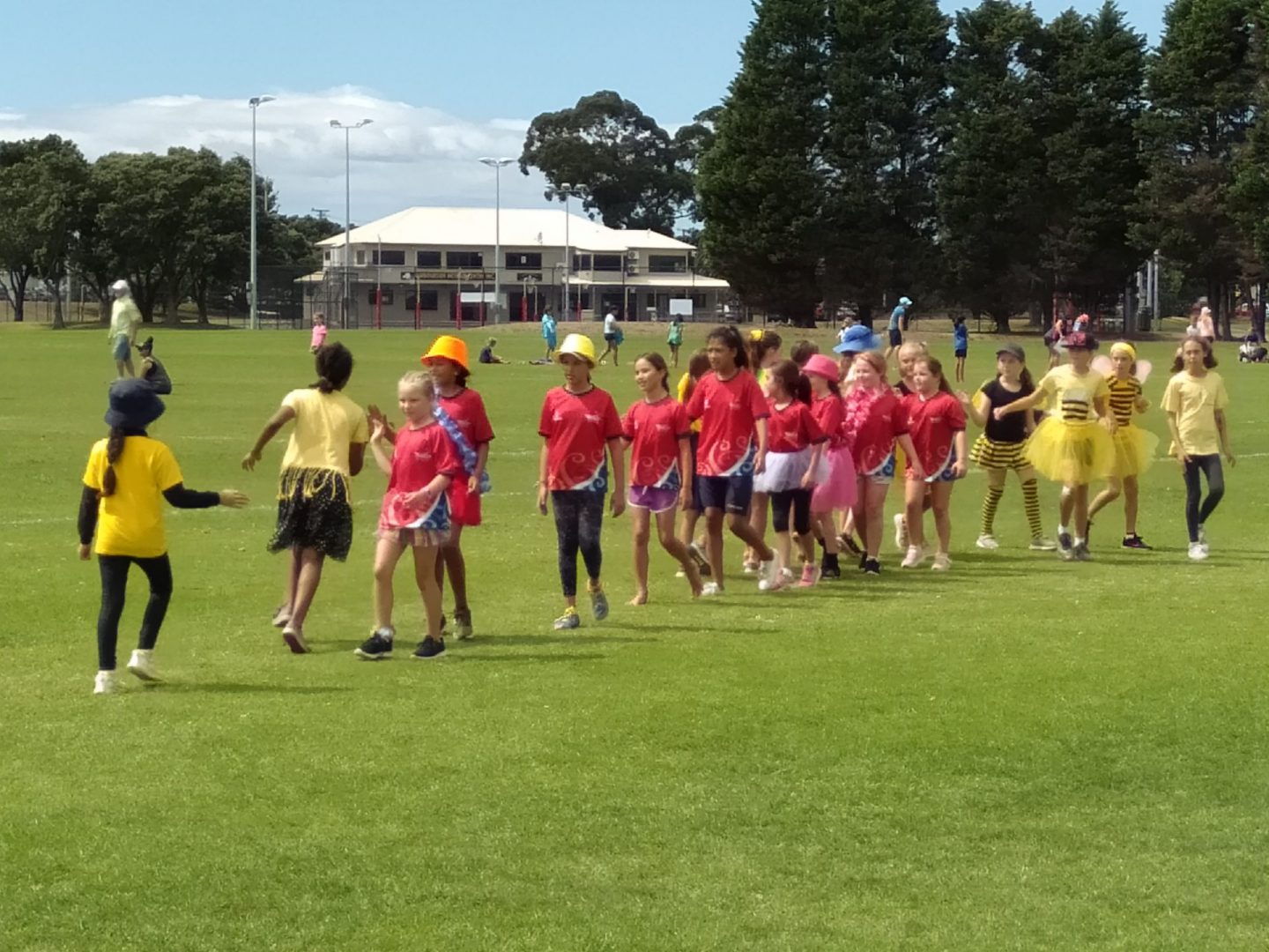 Heron Herald Term 1, Week 7, 2020 - Matua School