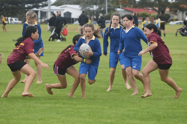 Heron Herald Term 4, Week 8, 2020 - Matua School