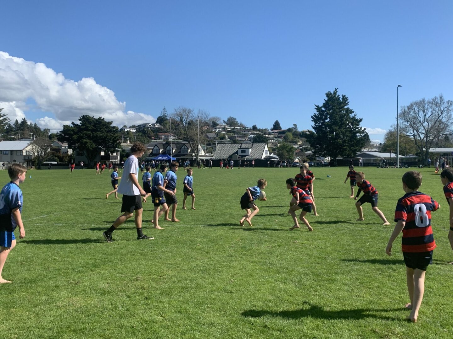 Heron Herald Term 3, Week 6, 2022 - Matua School