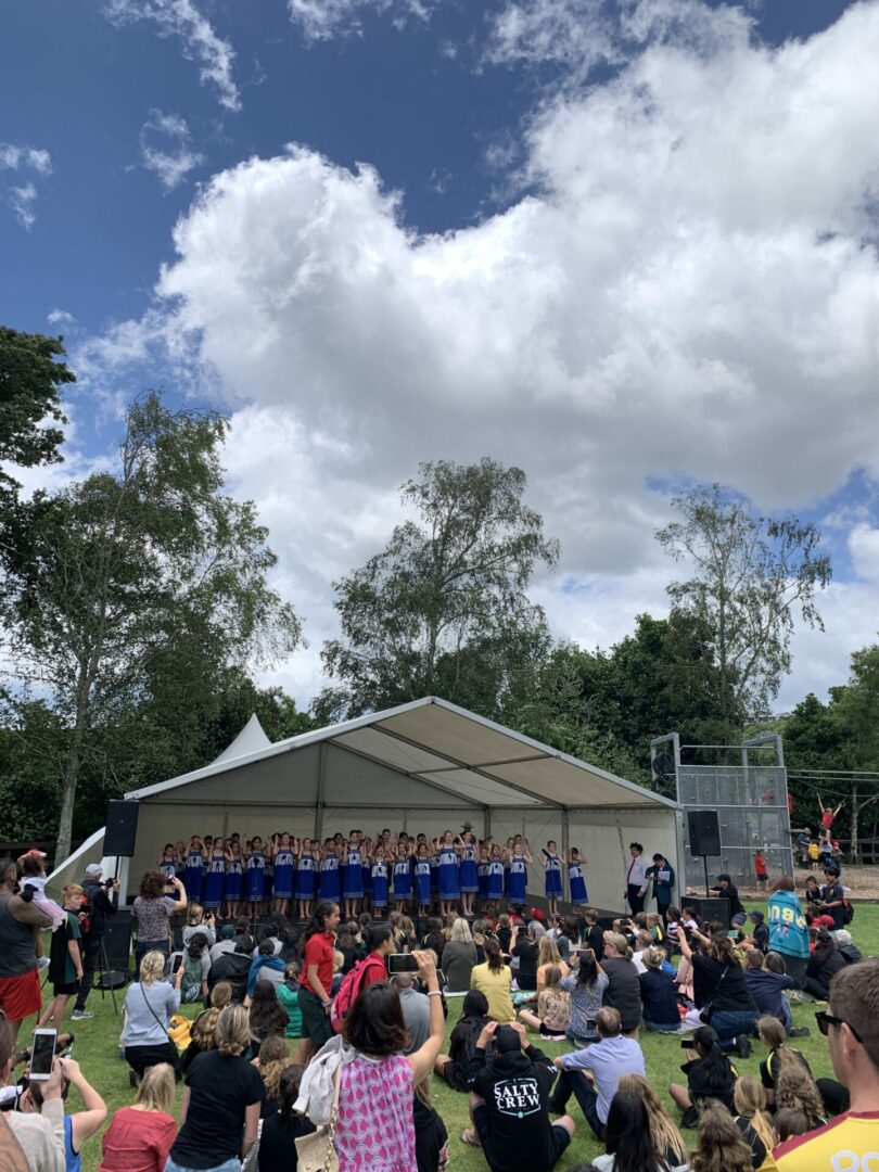 Heron Herald Term 4, Week 6, 2022 - Matua School