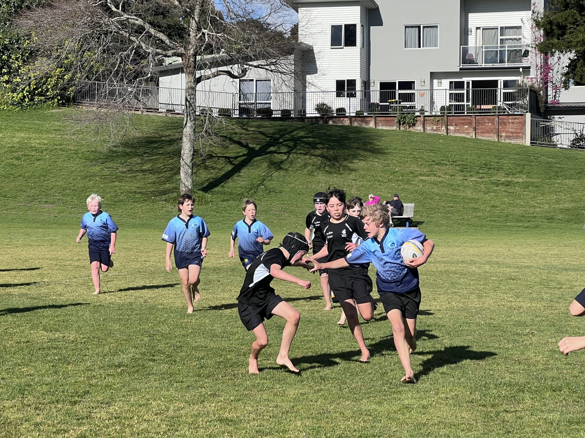 Heron Herald Term 3, Week 6, 2023 - Matua School