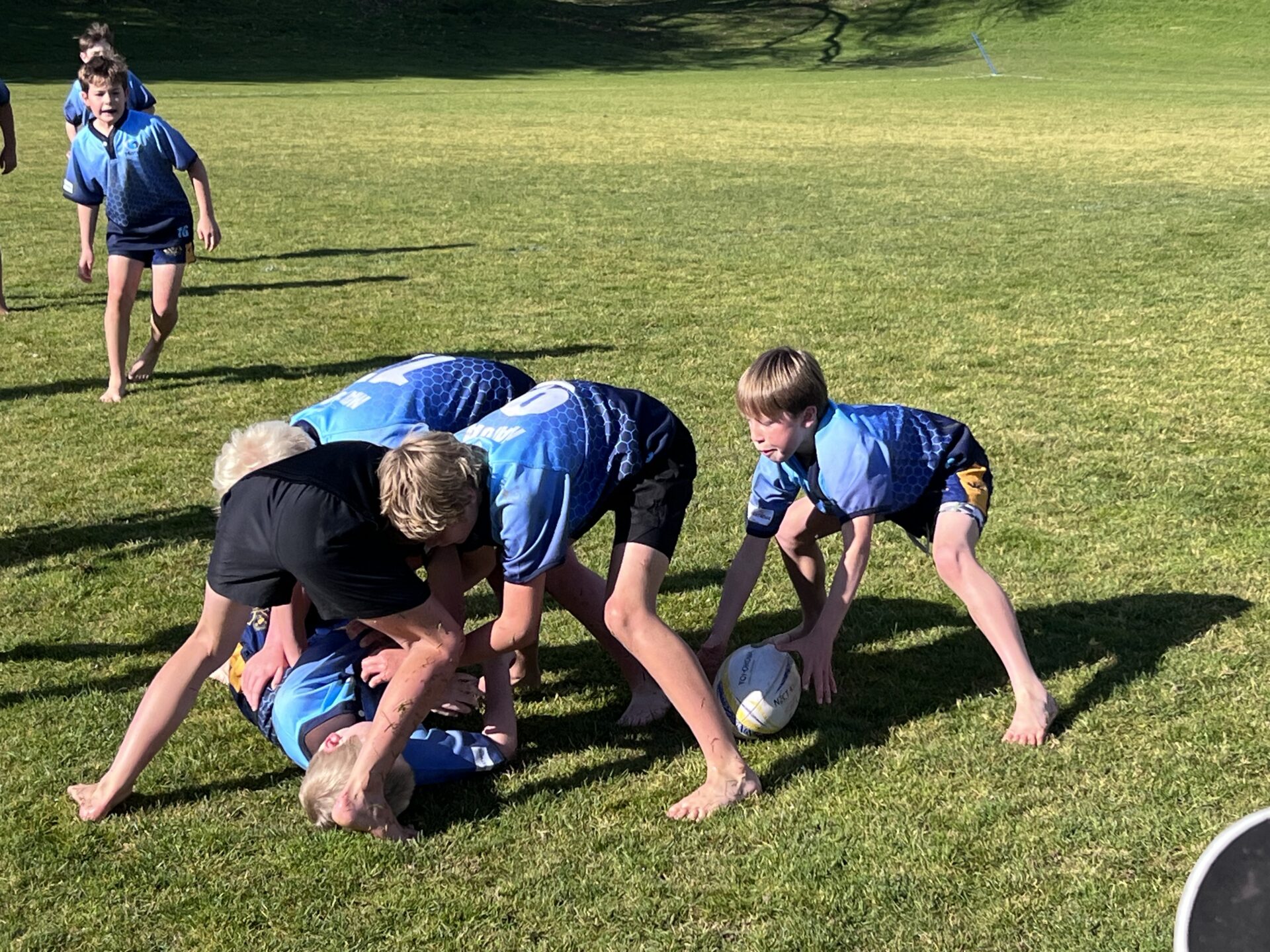 Heron Herald Term 3, Week 6, 2023 - Matua School