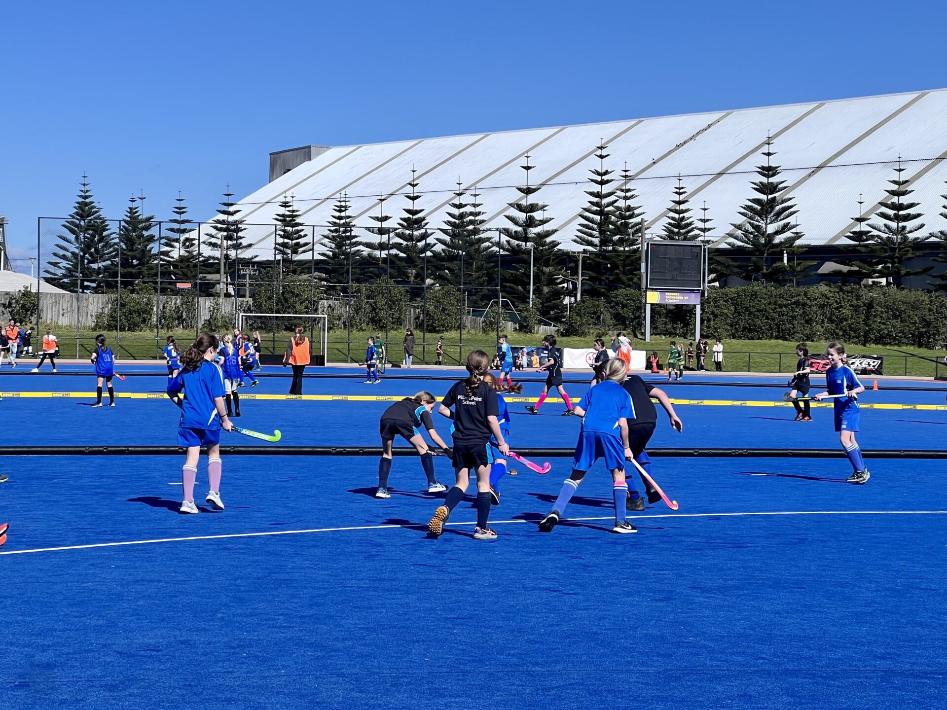 Heron Herald Term 3, Week 6, 2023 - Matua School