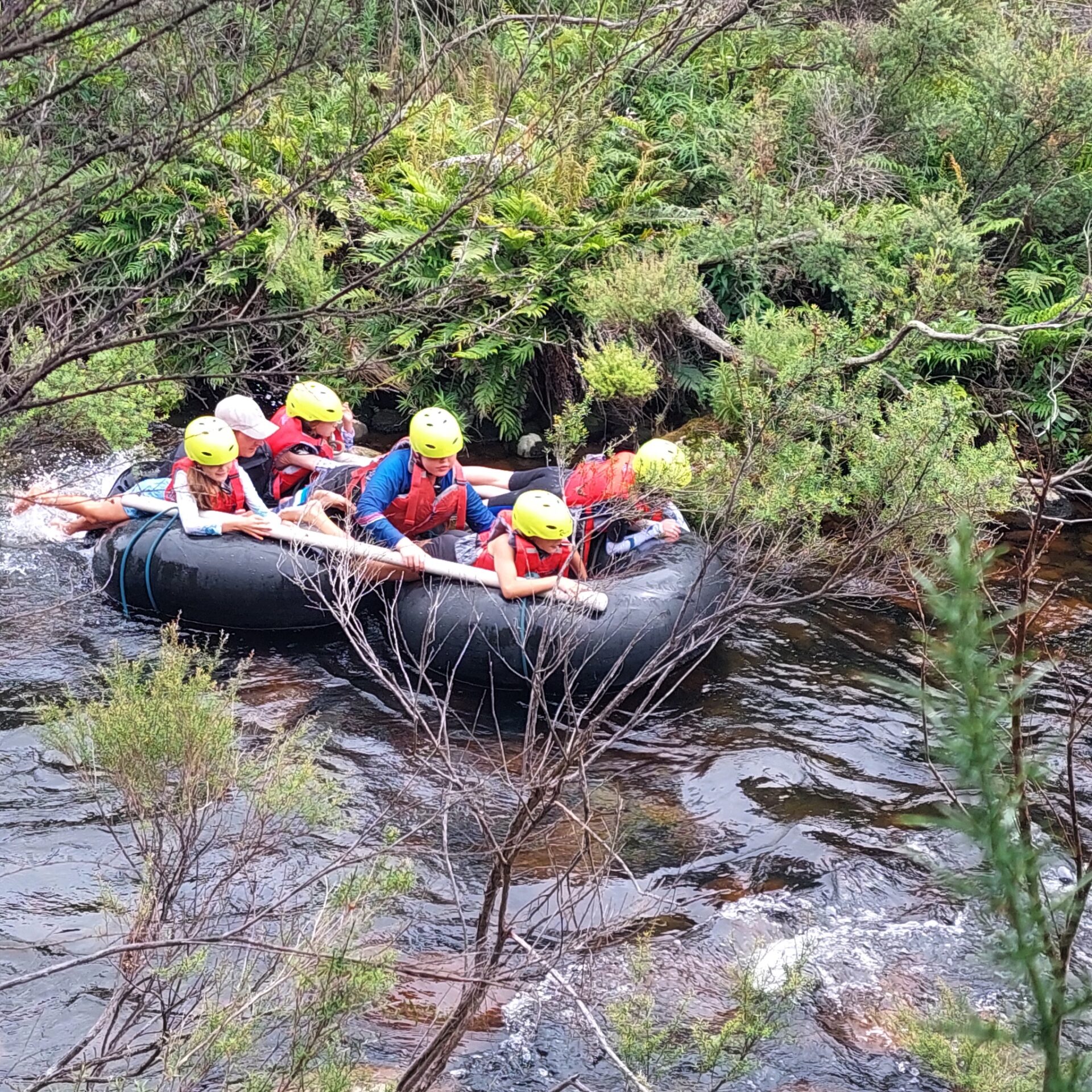 Heron Herald Term 1, Week 6, 2024 - Matua School