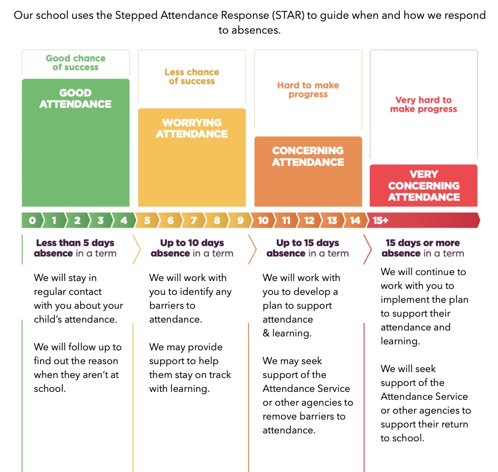 Heron Herald Term 1, Week 6 - Matua School